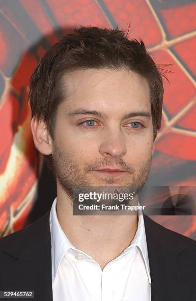 146 Spider Man 2 Tobey Photos Stock Photos, High-res Pictures, And