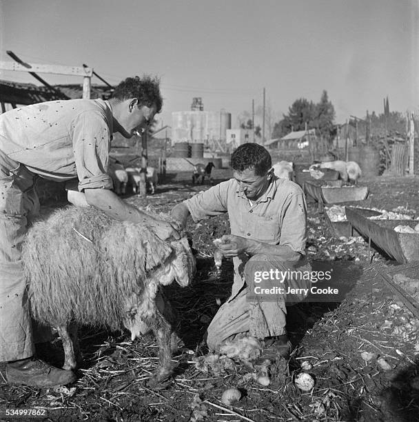 Kibbutz Photos And Premium High Res Pictures Getty Images