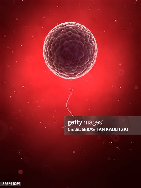 Red Sperm Photos And Premium High Res Pictures Getty Images
