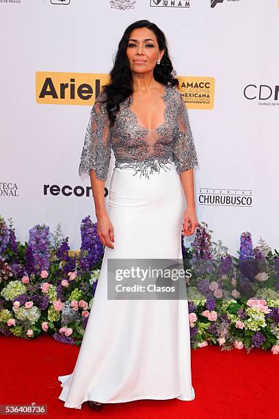Dolores Heredia Photos And Premium High Res Pictures Getty Images