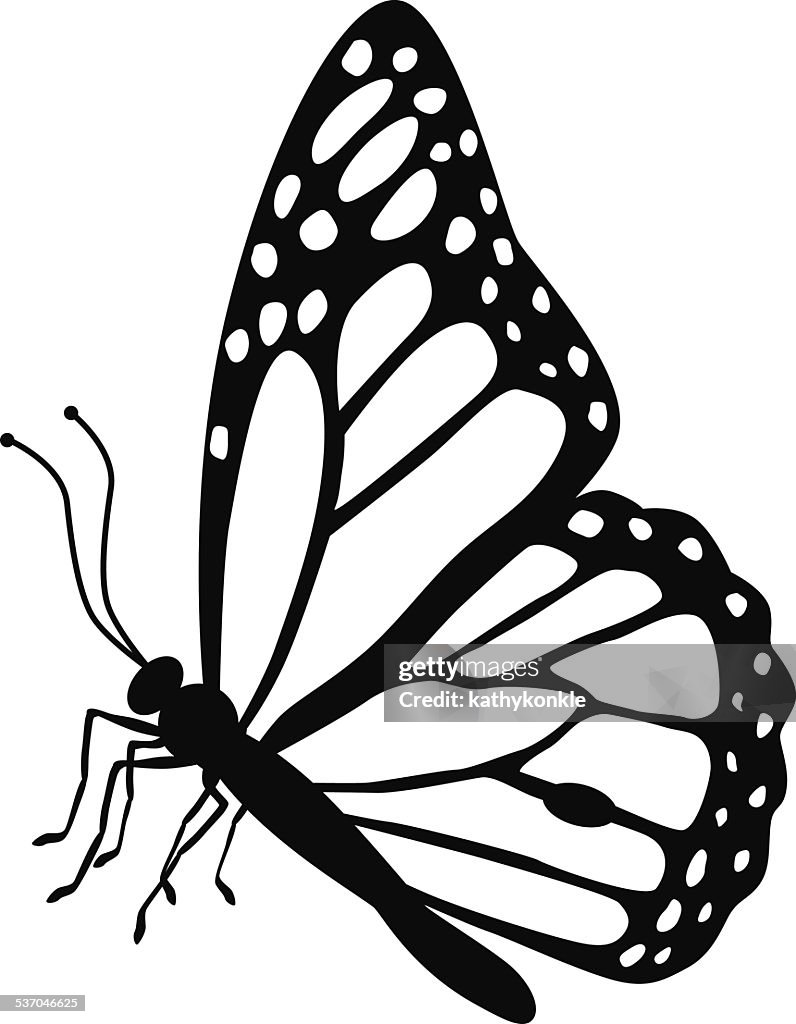 Monarch Butterfly Side View In Black And White High Res Vector Graphic