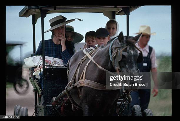 Mennonite Family Photos and Premium High Res Pictures - Getty Images Mennonite Family Photos and Premium High Res Pictures - Getty Images