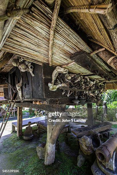 Igorot Tribe Photos And Premium High Res Pictures Getty Images