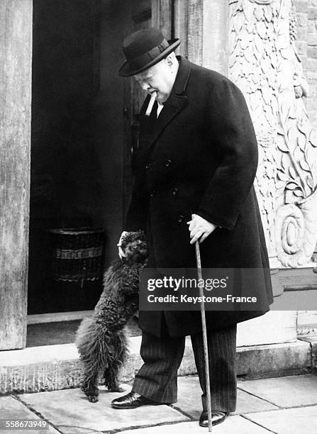 Did Winston Churchill Have Dogs Did Winston Churchill Have Dogs