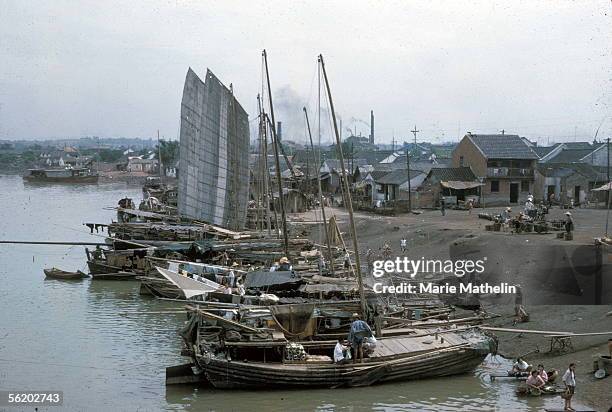 28 Yangzijiang Stock Photos, High-Res Pictures, and Images - Getty Images 28 Yangzijiang Stock Photos, High-Res Pictures, and Images - Getty Images