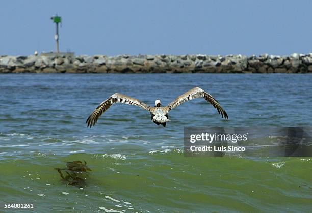 68 Little Corona Del Mar Beach Stock Photos, High-Res Pictures, and ... 68 Little Corona Del Mar Beach Stock Photos, High-Res Pictures, and ...