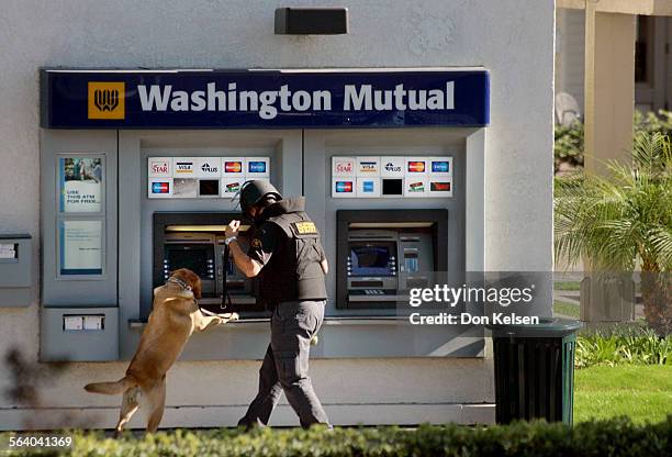 84 Bomb Detecting Stock Photos, High-Res Pictures, and Images - Getty ... 84 Bomb Detecting Stock Photos, High-Res Pictures, and Images - Getty ...