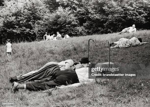 Wienerwald Forest Photos And Premium High Res Pictures Getty Images