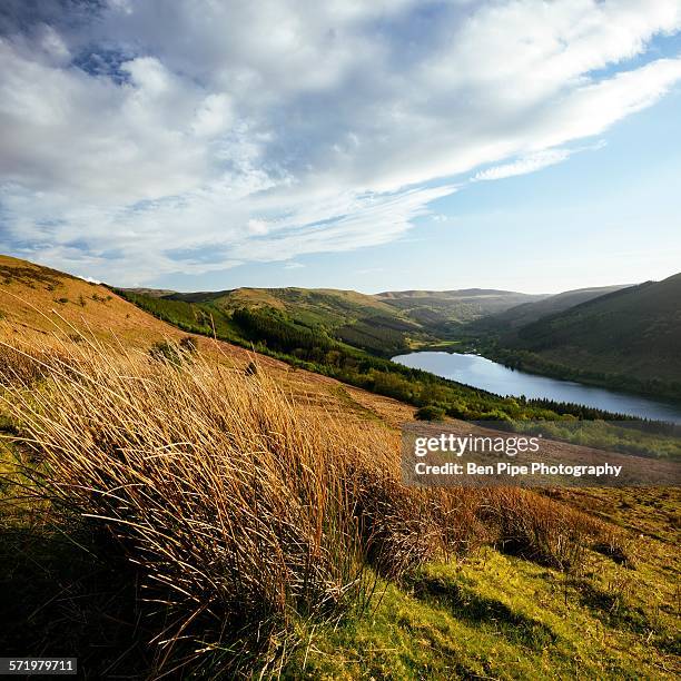 Brecon Beacons Lake Photos And Premium High Res Pictures Getty Images