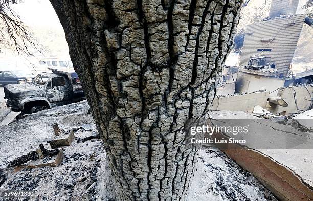 11 Little Tujunga Canyon Road Stock Photos, High-Res Pictures, and ... 11 Little Tujunga Canyon Road Stock Photos, High-Res Pictures, and ...