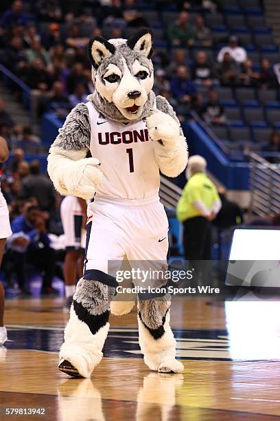 Uconn Mascot Jonathan Photos And Premium High Res Pictures Getty Images