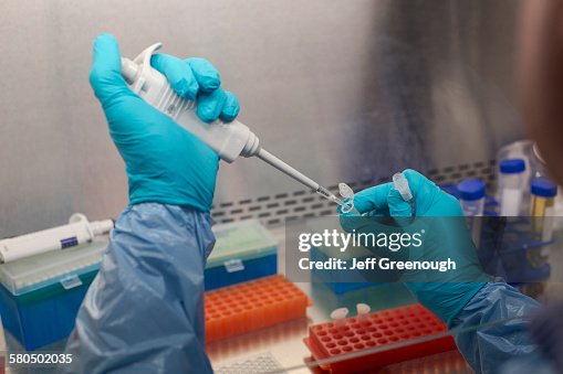 Mixed Race Scientist Pipetting Solution Into Test Tubes In Lab High-Res ... Mixed Race Scientist Pipetting Solution Into Test Tubes In Lab High-Res ...
