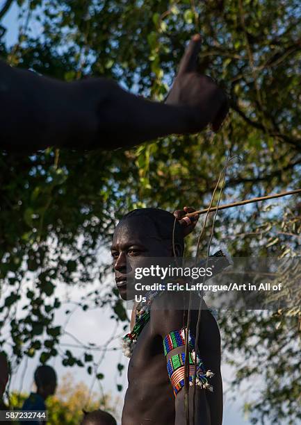 Bull Whipping Photos And Premium High Res Pictures Getty Images