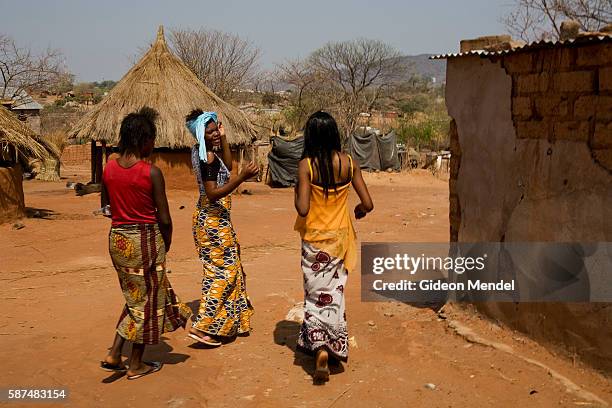 Chirundu Zimbabwe Photos And Premium High Res Pictures Getty Images