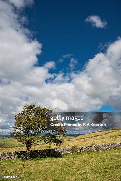 Wardlow Derbyshire Photos and Premium High Res Pictures - Getty Images Wardlow Derbyshire Photos and Premium High Res Pictures - Getty Images
