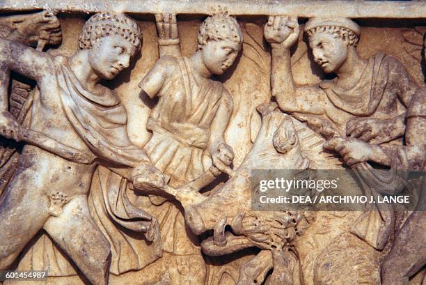 The Calydonian Boar Hunt Photos And Premium High Res Pictures Getty