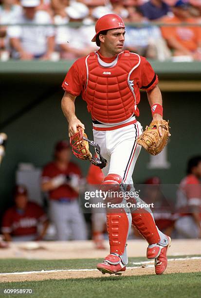Todd Zeile” Baseball Photos And Premium High Res Pictures Getty Images