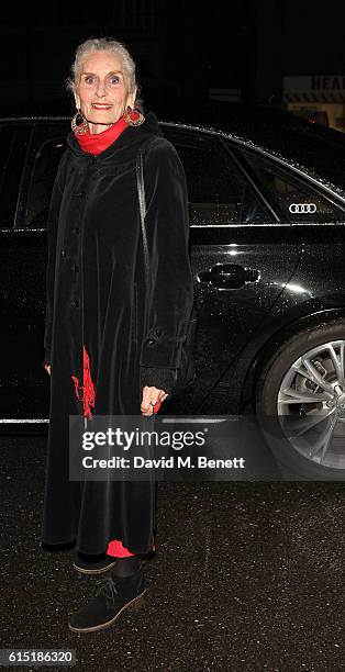 Daphne Selfe Fotografías E Imágenes De Stock Getty Images