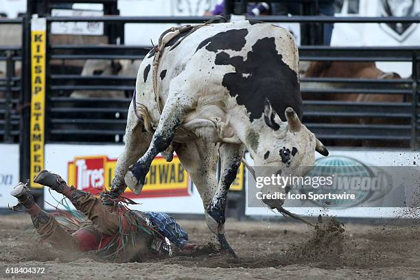 151 Jesse Spears Photos And High Res Pictures Getty Images
