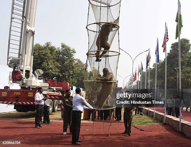 Centre For Fire Explosive And Environment Safety Photos and Premium ... Centre For Fire Explosive And Environment Safety Photos and Premium ...