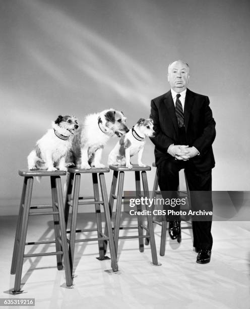 272 Alfred Hitchcock Presents Photos And High Res Pictures Getty Images