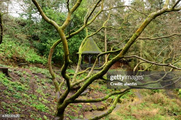 Top 5 Tree Services in Dunfermline: What to Expect and How to Choose