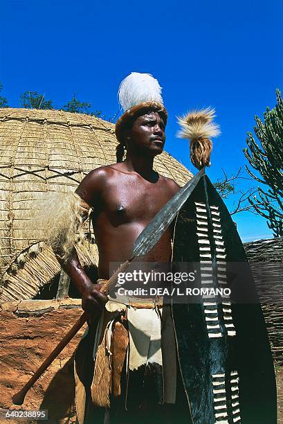 Zulu Spear Photos and Premium High Res Pictures - Getty Images Zulu Spear Photos and Premium High Res Pictures - Getty Images