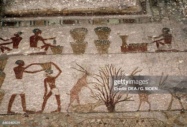 Beni Hasan Photos And Premium High Res Pictures Getty Images