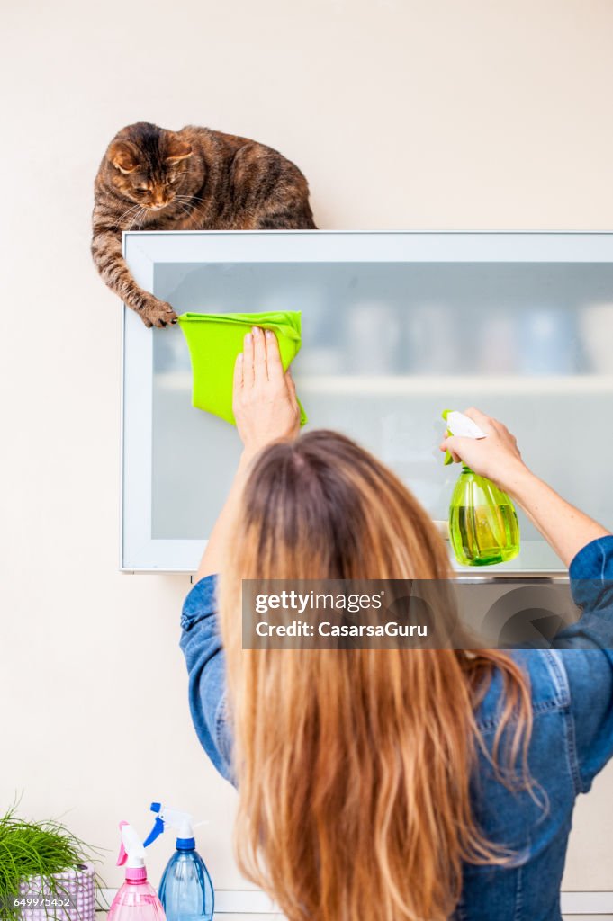 Adult Woman Playing With Cat While Cleaning The Kitchen High Res Stock