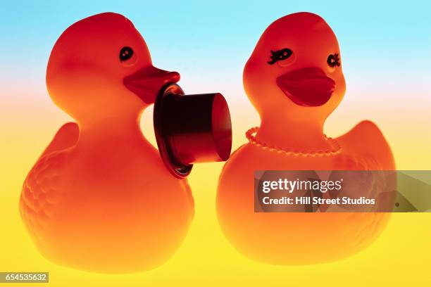 Rubber Ducks Love Photos And Premium High Res Pictures Getty Images