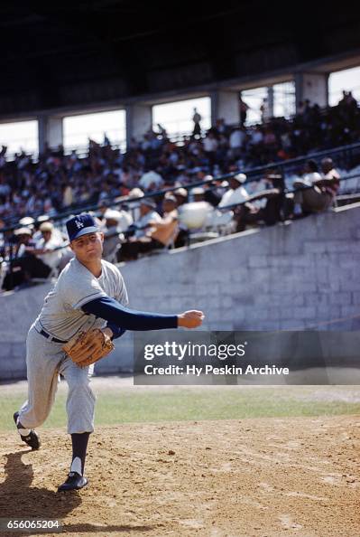 Pitcher Don Drysdale of the Los Angeles Dodgers warms-up in the... News ... Pitcher Don Drysdale of the Los Angeles Dodgers warms-up in the... News ...