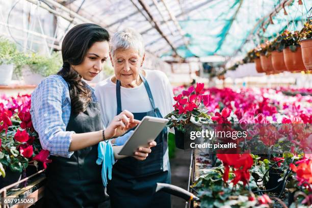 495 Updating App Stock Photos, High-Res Pictures, and Images - Getty Images 495 Updating App Stock Photos, High-Res Pictures, and Images - Getty Images