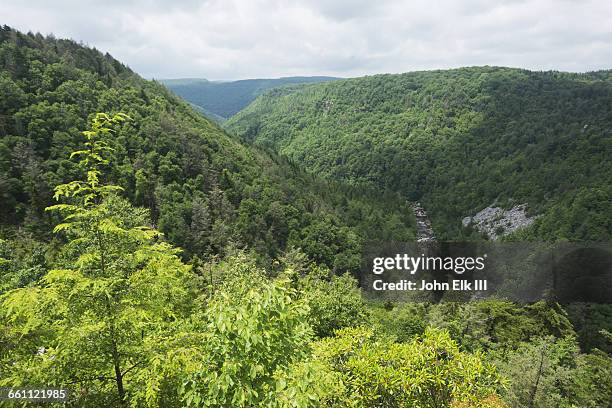 Elk Tucker County West Virginia Photos and Premium High Res Pictures ... Elk Tucker County West Virginia Photos and Premium High Res Pictures ...