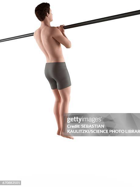 27 Chin Bar High Res Illustrations - Getty Images 27 Chin Bar High Res Illustrations - Getty Images