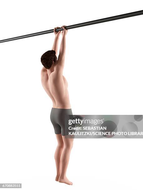 27 Chin Bar High Res Illustrations - Getty Images 27 Chin Bar High Res Illustrations - Getty Images