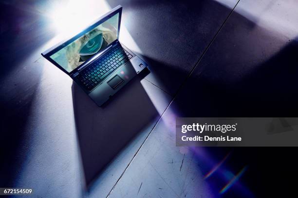 1,248 Scary Intruder Stock Photos, High-Res Pictures, and Images ... 1,248 Scary Intruder Stock Photos, High-Res Pictures, and Images ...