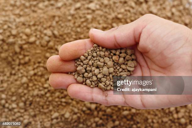 Understanding the Benefits of Rock Phosphate in Fertilizers