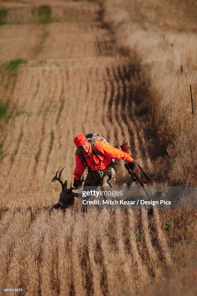 Deer Hunter Dragging Dead Deer Across Field High-Res Stock Photo ... Deer Hunter Dragging Dead Deer Across Field High-Res Stock Photo ...