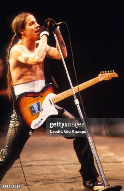 172 Red Hot Chili Peppers 1996 Photos And High Res Pictures Getty Images