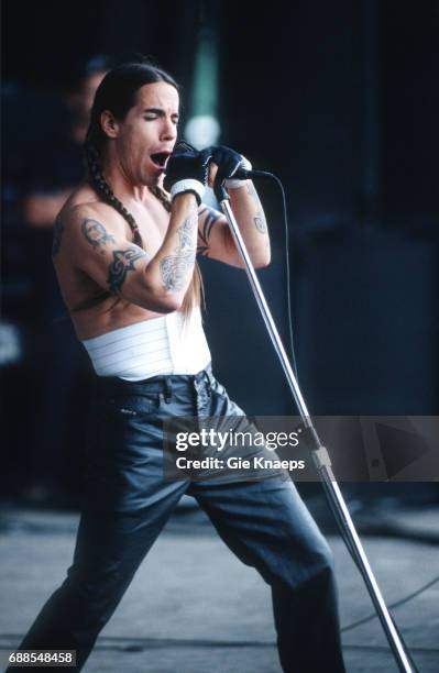 173 Red Hot Chili Peppers 1996 Photos And High Res Pictures Getty Images