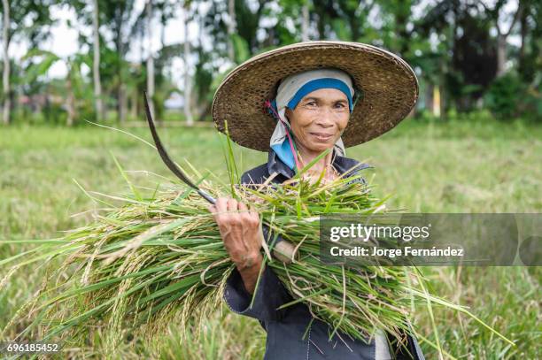 Mambusao Capiz Photos and Premium High Res Pictures - Getty Images Mambusao Capiz Photos and Premium High Res Pictures - Getty Images