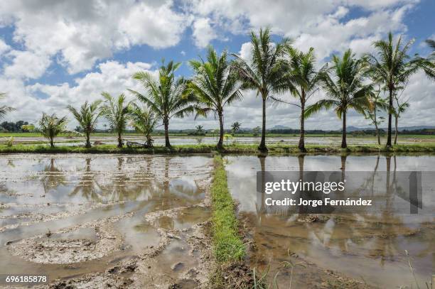 Mambusao Capiz Photos and Premium High Res Pictures - Getty Images Mambusao Capiz Photos and Premium High Res Pictures - Getty Images