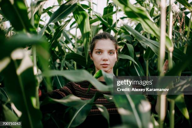 2,764 Corn Field Woman Stock Photos, High-Res Pictures, and Images ... 2,764 Corn Field Woman Stock Photos, High-Res Pictures, and Images ...