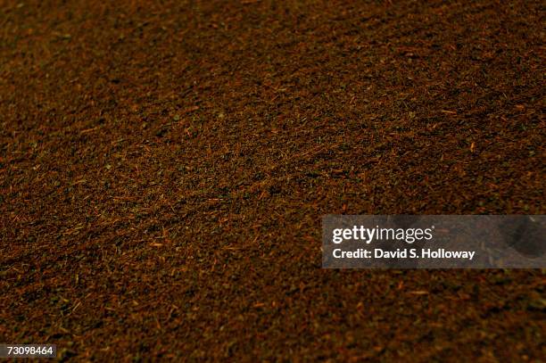 Oxidation Tea Photos And Premium High Res Pictures Getty Images