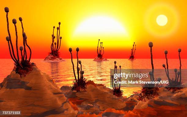 27 Proxima Centauri B Stock Photos, High-Res Pictures, and Images ... 27 Proxima Centauri B Stock Photos, High-Res Pictures, and Images ...