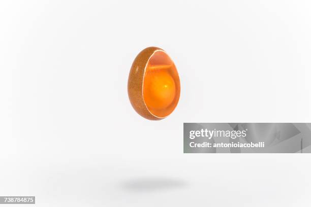 Cross Section Egg Stock Fotos Und Bilder Getty Images