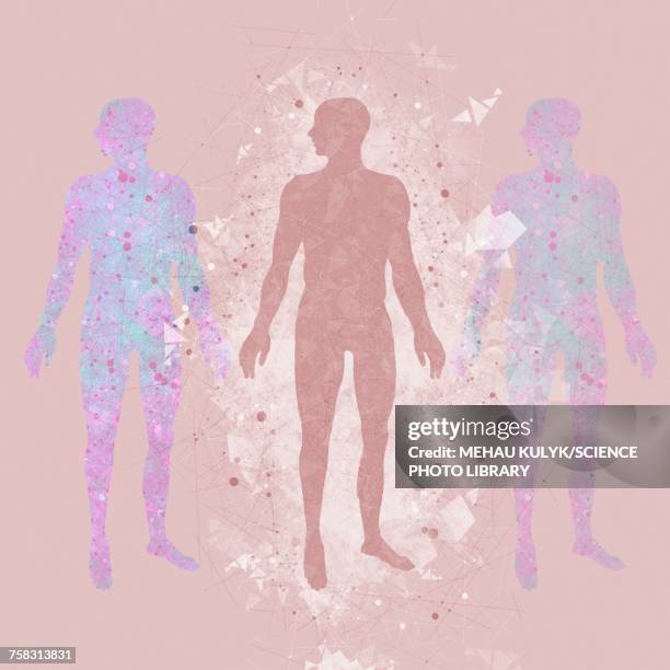 Human Life Cycle Silhouette High Res Illustrations Getty Images