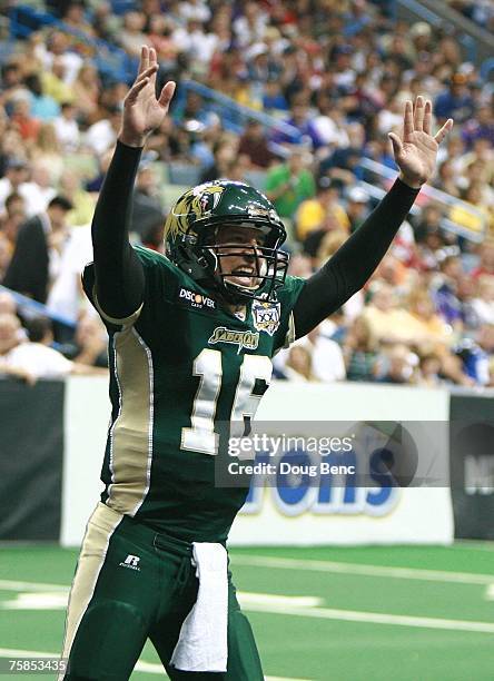 555 San Jose Sabercats Photos & High Res Pictures - Getty Images 555 San Jose Sabercats Photos & High Res Pictures - Getty Images