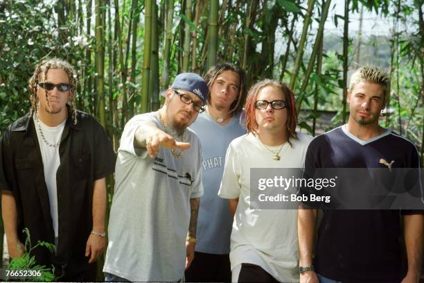 David A Korn Photos And Premium High Res Pictures Getty Images