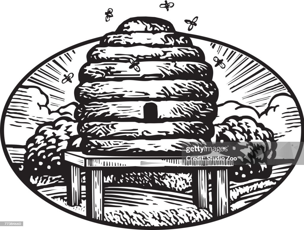 Bee Hive Clip Art Black And White